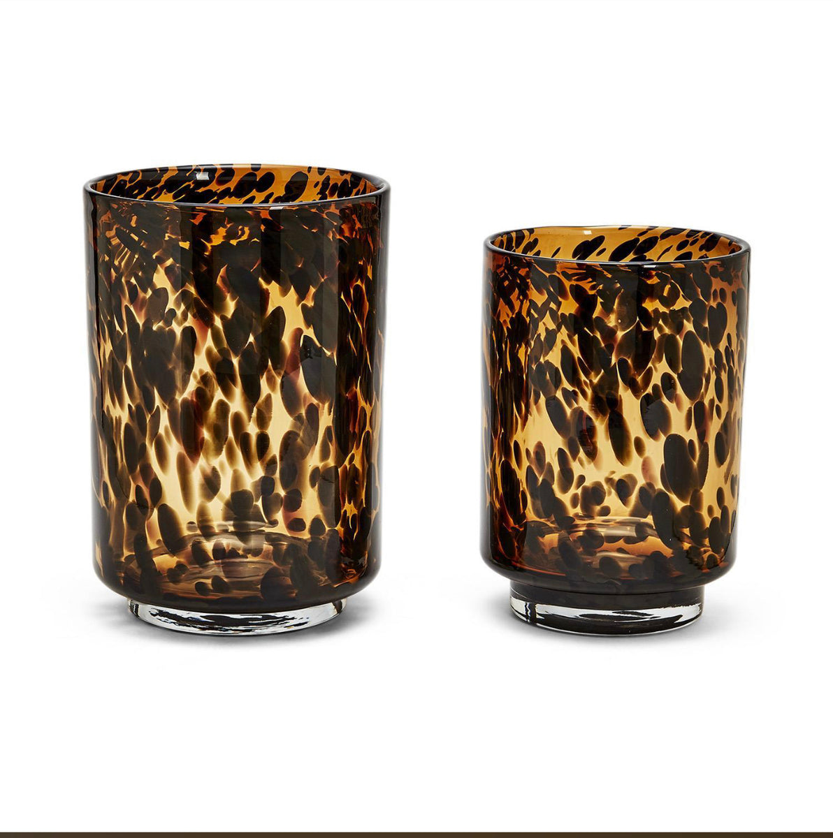 Hurricane, Tortoise Medium